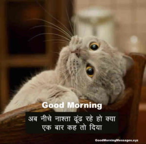 101 Subah Ke Liye Majedar Shayari Good morning Shayari in Hindi funny - Good Morning News